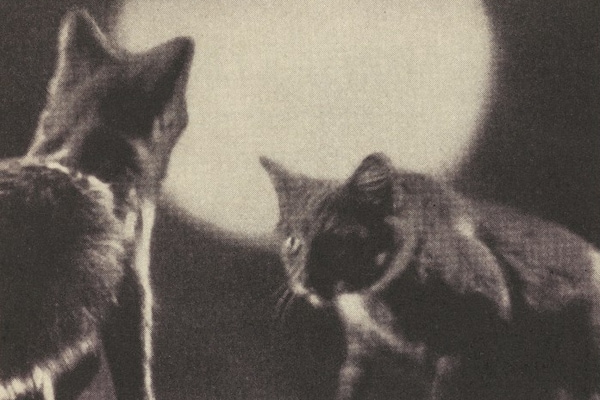 Unearthing the hidden history of magic and the occult in British art ...
