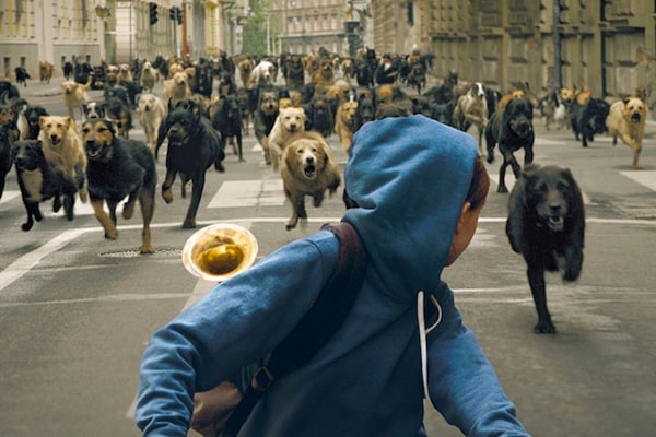 Watch a pack of rabid dogs terrorise a city | Dazed