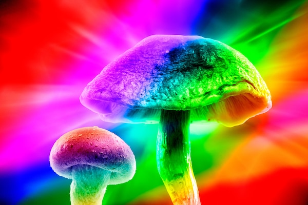 How to take a heroic dose of mushrooms | Dazed