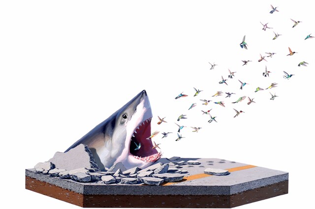 Josh Keyes | Dazed