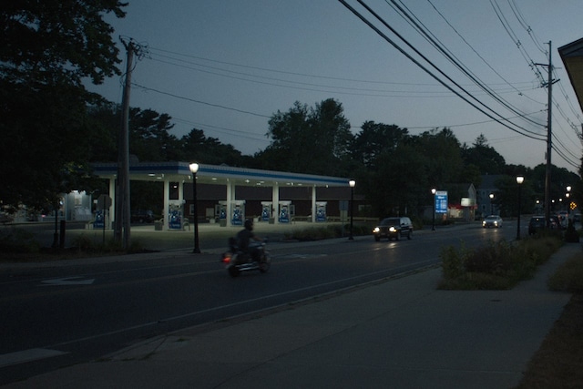 Misha and the Wolves: hoax Holocaust survival tale that deceived the ...