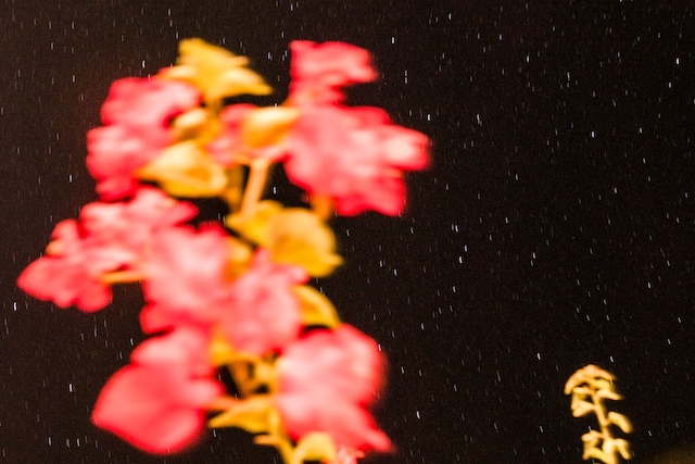 Chad Moore’s dreamy photos capture a summer well spent | Dazed