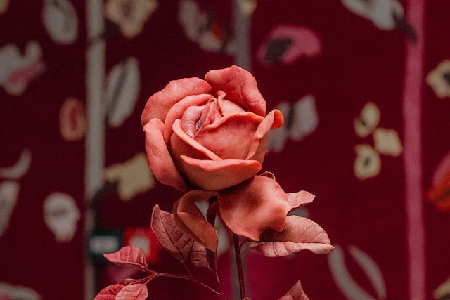 This exhibition explores flowers as subversive symbols of sexuality | Dazed