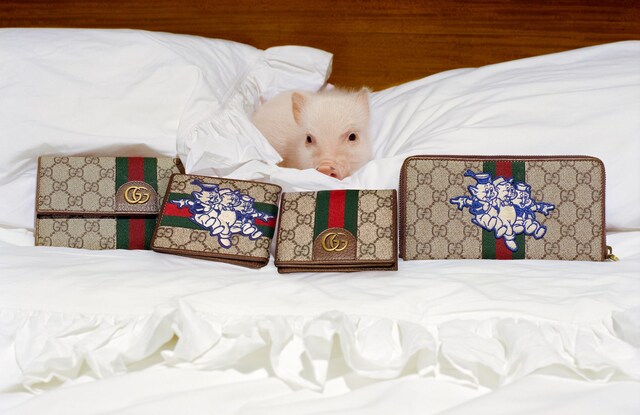 Look at all these cute pigs in Gucci’s new campaign | Dazed