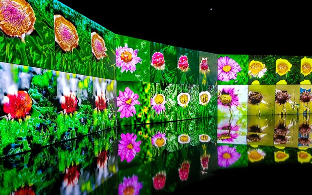 Memo Akten’s art sees artificial intelligence tackle life, love, and ...