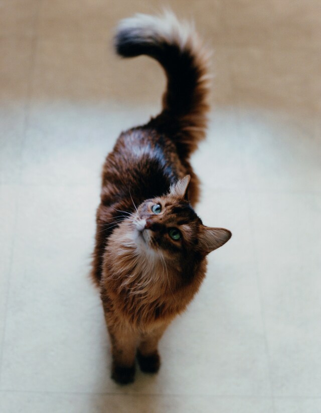 ’Kiko in Heaven’ by Alex Leese | Dazed