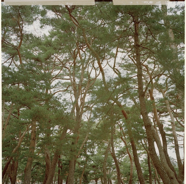 Make Break Remix: The Rise of K-style | Dazed