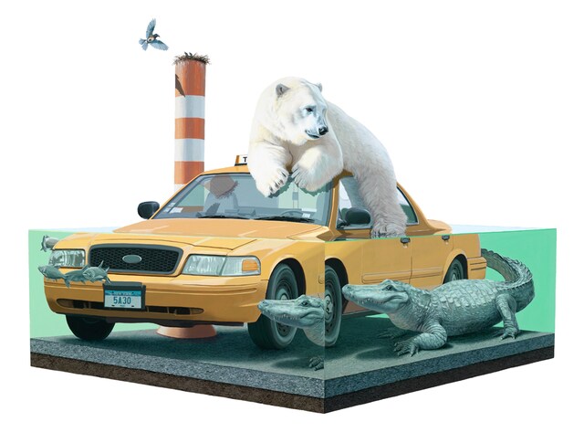 Josh Keyes | Dazed