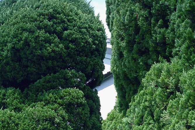 New Japanese Photography | Dazed