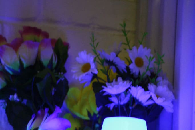 PAMI: Peckham Artist Moving Image | Dazed