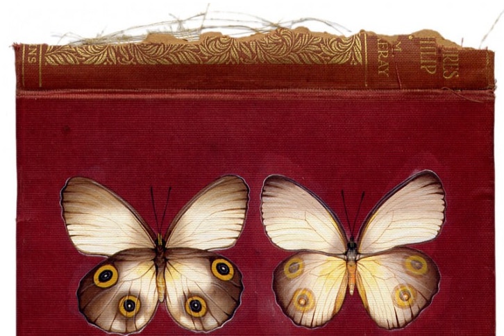 Unnatural Natural History: Rose Sanderson | Dazed