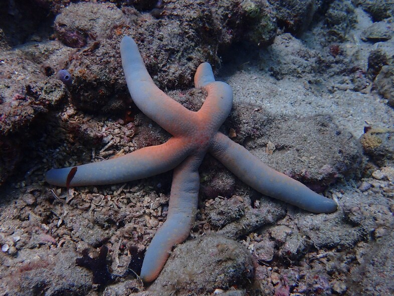 ’Kiko in Heaven’ by Alex Leese | Dazed