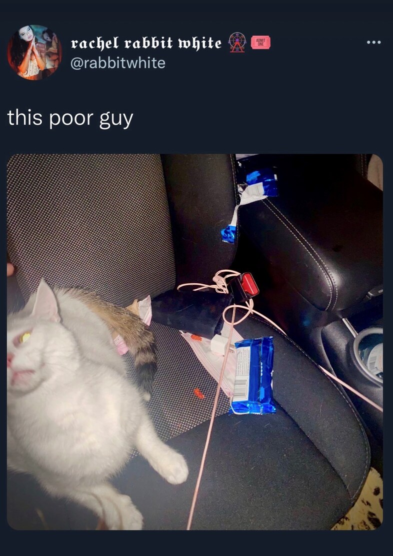 Rachel Rabbit White, 2022 Photo Dump | Dazed