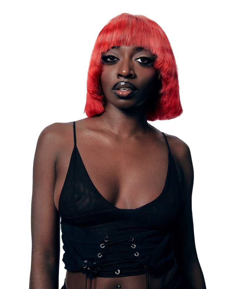 Rent A Wig By Etwigs Dazed