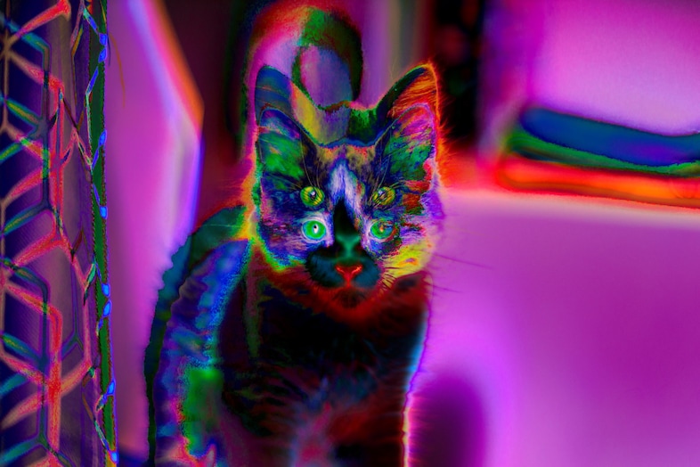 Psychedelic integration: how to make the most of your trip | Dazed