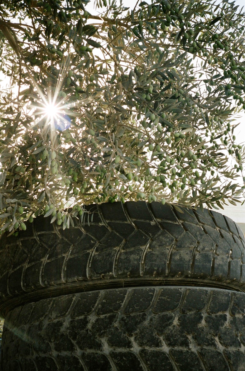 Adam Rouhana, Before Freedom | Dazed