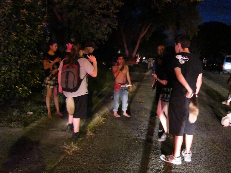 Teenage Wolfpack: Tabby | Dazed