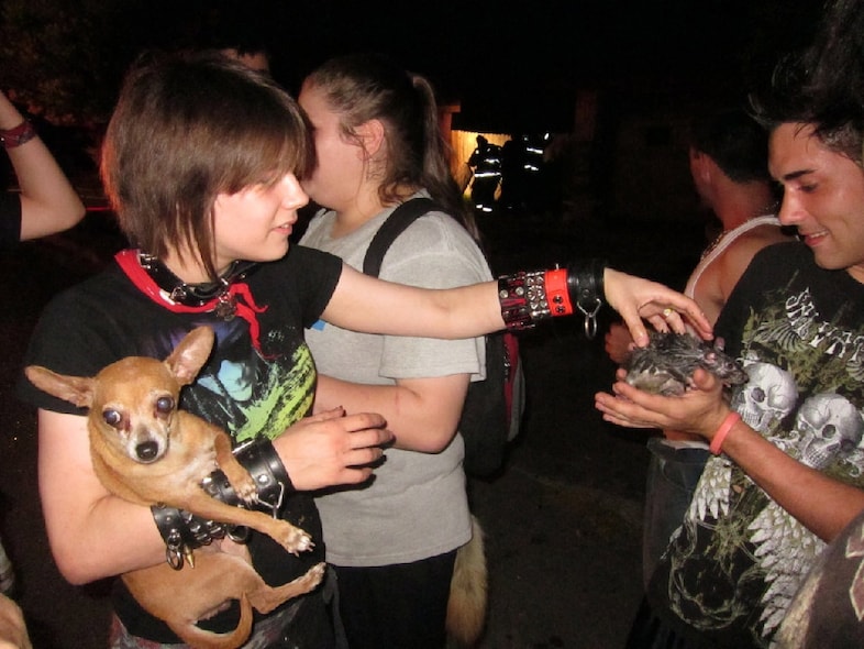 Teenage Wolfpack: Tabby | Dazed