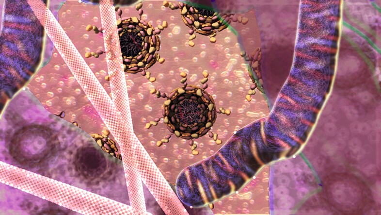 Drew Berry's Bio-Animations | Dazed