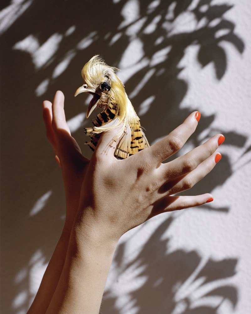 How Thomas Rousset is giving photography superpowers | Dazed