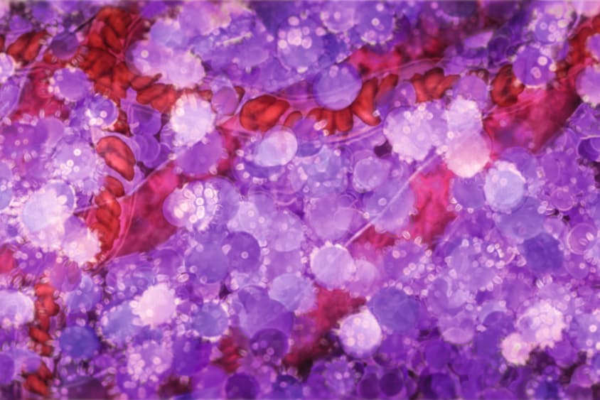 Drew Berry's Bio-Animations | Dazed