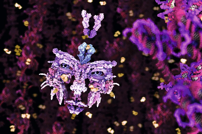 Drew Berry's Bio-Animations | Dazed