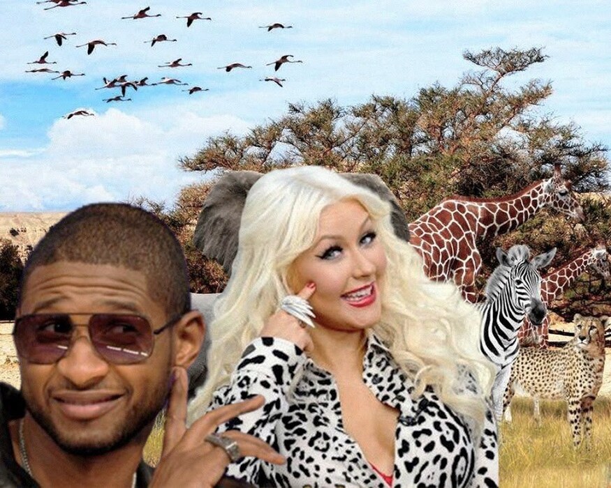 Christina Aguilera and Usher to present nature series | Dazed