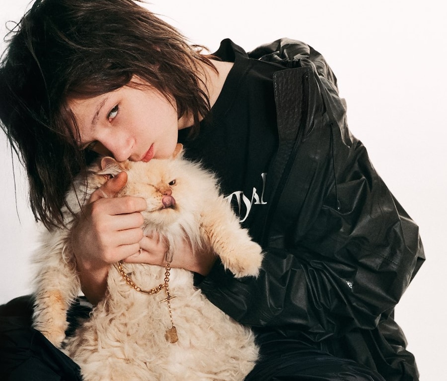 Matt Ox Dazed 100 | Dazed