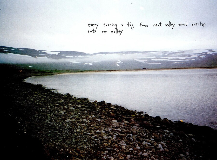 A history of Björk in Dazed | Dazed