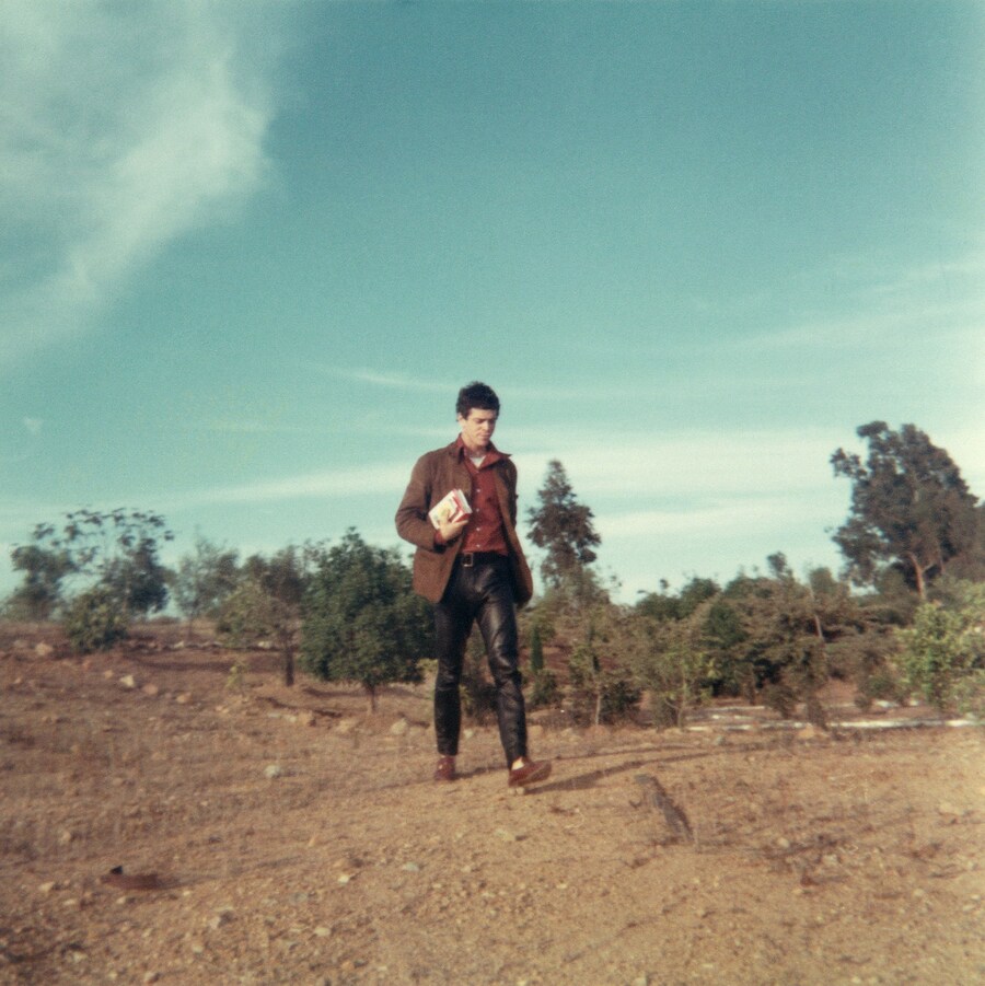 Laurie Anderson on the lost poetry of Lou Reed | Dazed