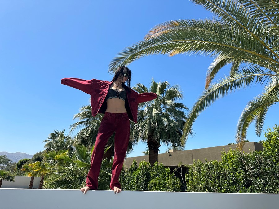 Devon Lee Carlsons Coachella Album Dazed