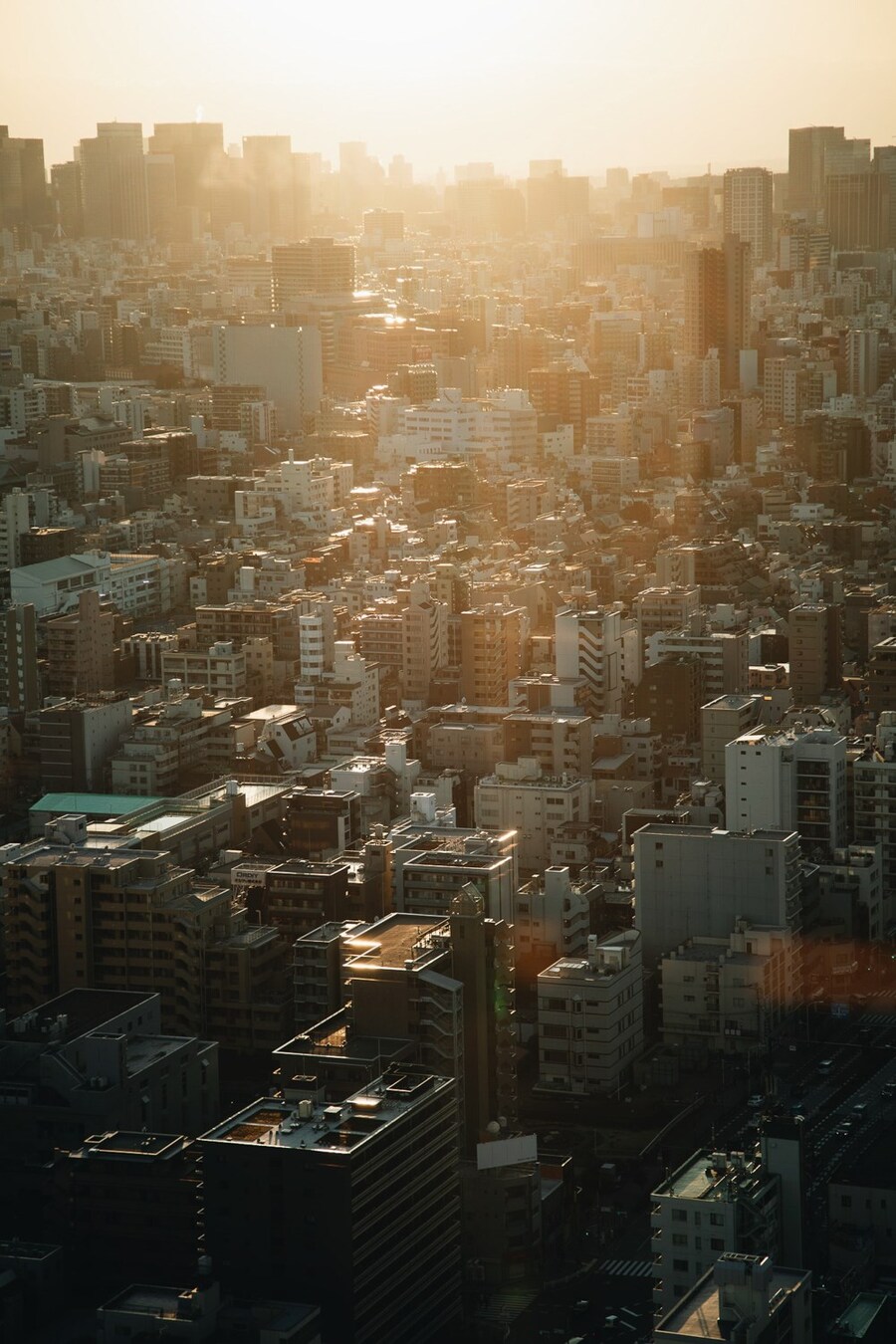 Leafy Yun Ye, Tokyo Odyssey | Dazed