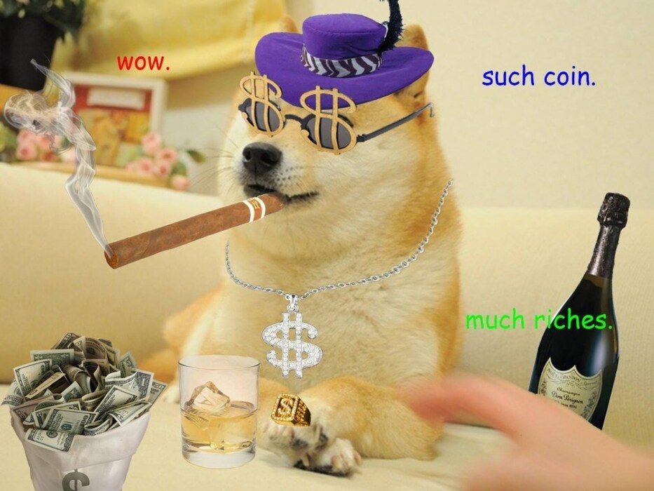 The rise of dogecoin | Dazed