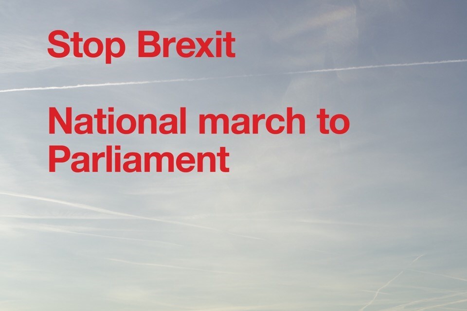 People are uniting to march against Brexit this weekend | Dazed
