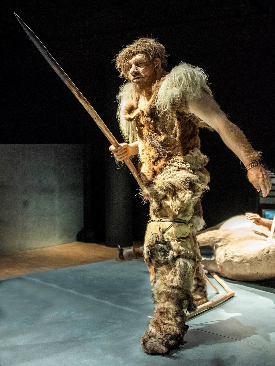 What can extinct, 40,000-year-old Neanderthals teach us about being ...