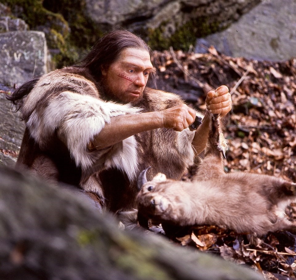 What can extinct, 40,000-year-old Neanderthals teach us about being ...